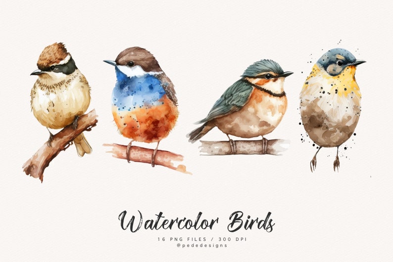 Watercolor Birds Clip Art Tiny Colorful Birds Clipart Bird - Etsy