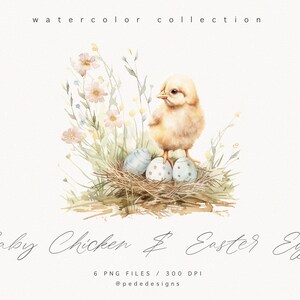 Baby Chicken & Easter Eggs Clipart, Watercolor Chicken, Spring Png ...