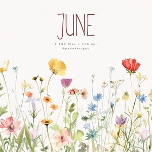 June, Summer Wildflowers, Watercolor Wild Floral Border, Watercolor ...