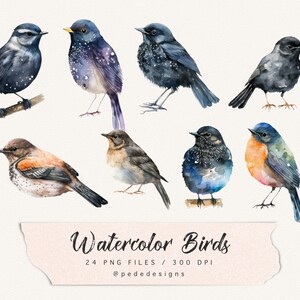 Watercolor Birds Clip Art, Tiny Dark Birds Clipart, Bird Png, Nature ...