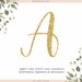 Gold Glitter Alphabet Clipart, Sparkly Gold Digital Alphabet ...