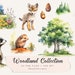 Watercolor Woodland Clip Art, Woodland Animals, Forest Animals, Nursery ...