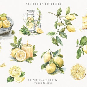 Lemons Clipart, Watercolor Food Clipart, Fruit Clipart, Vege, Juice ...