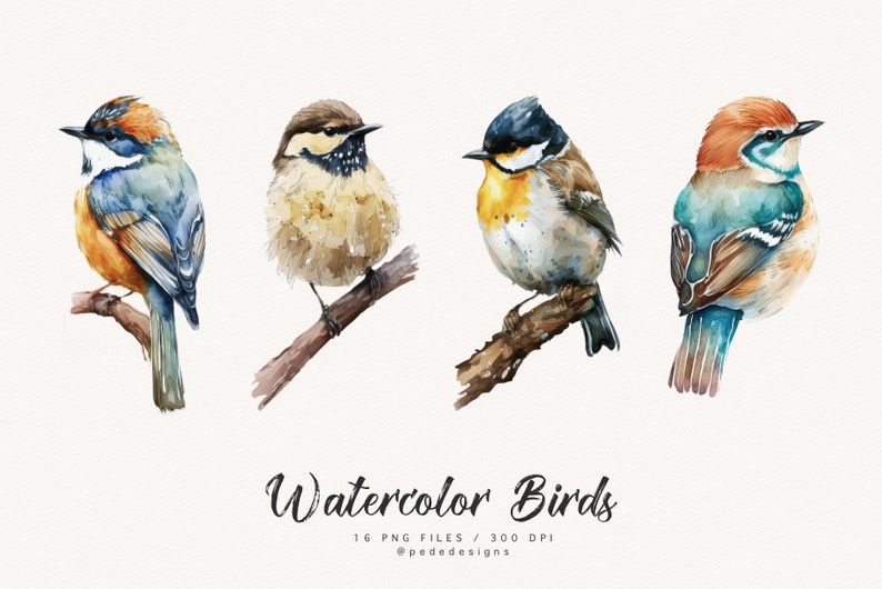 Watercolor Birds Clip Art Tiny Colorful Birds Clipart Bird - Etsy