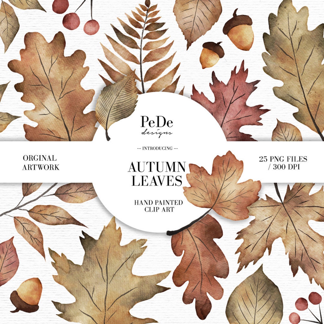 Watercolor Autumn Leaves Clip Art Pack, Autumn Cliparts, Forest ...