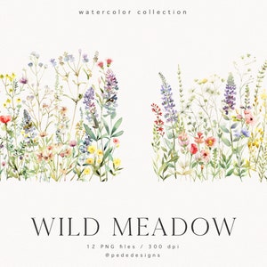 Wild Meadow, Watercolor Meadow Clipart, Watercolor Wild Floral, Floral ...