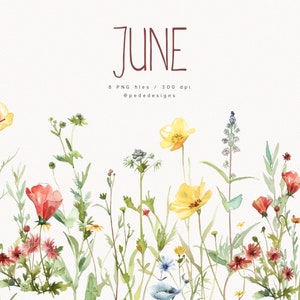 June, Summer Wildflowers, Watercolor Wild Floral Border, Watercolor ...