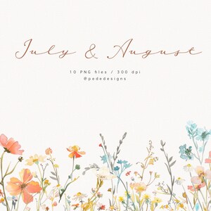 July & August, Summer Meadow, Watercolor Wild Floral Border, Watercolor ...