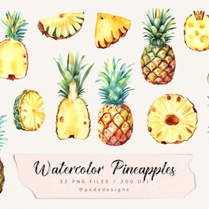 Watercolor Pineapples Clip Art Tropical Clipart Pineapple - Etsy