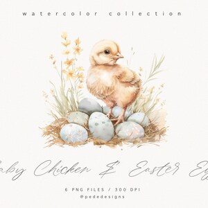 Baby Chicken & Easter Eggs Clipart, Watercolor Chicken, Spring Png ...