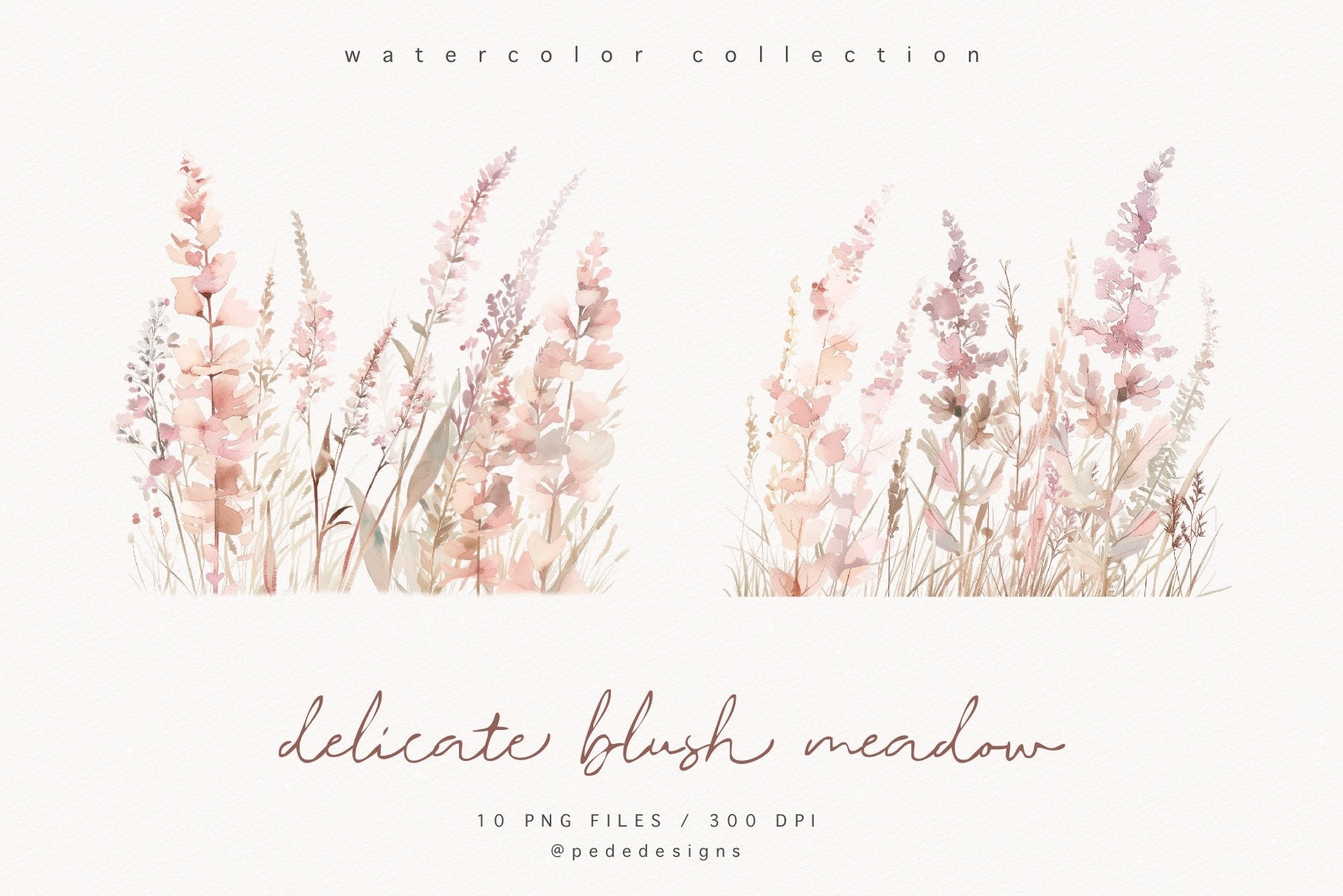 Delicate Blush Meadow, Watercolor Wild Flowers Clipart, Watercolor ...