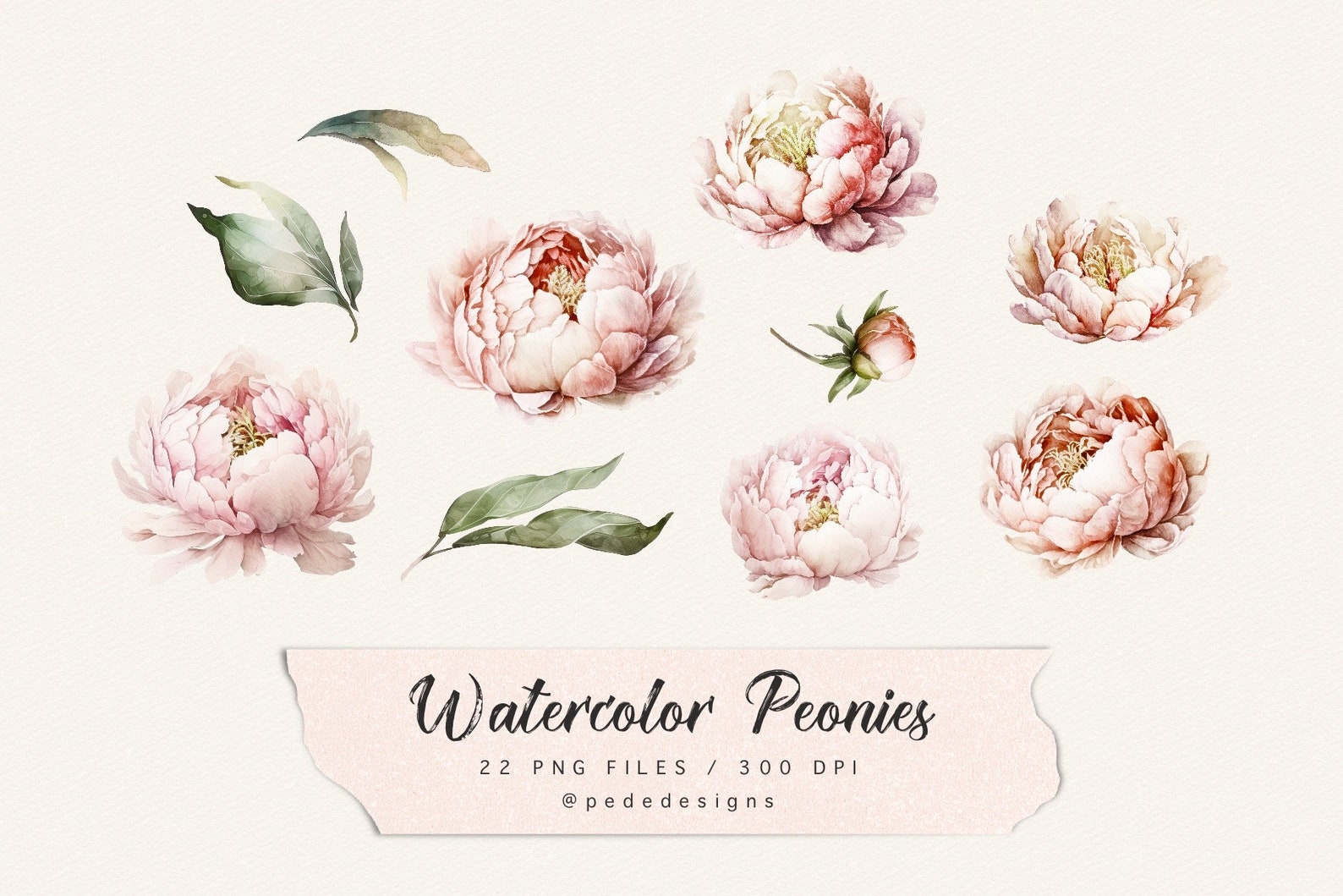 Watercolor Peonies Clip Art Pack, Floral Clipart, Watercolor Bright ...