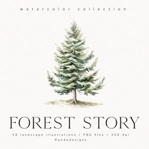 Watercolor Landscape Illustrations - Forest Story Collection, Woodland ...