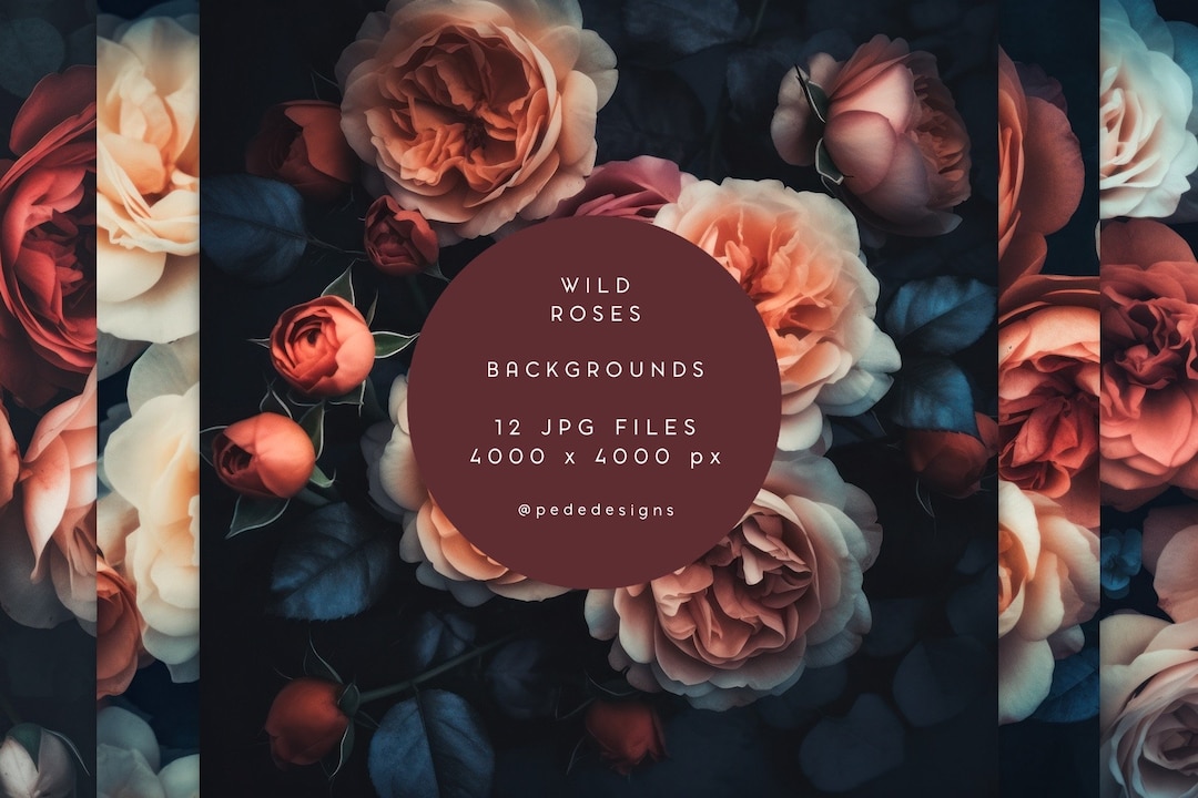 Wild Roses Backgrounds, Roses Backdrop, Rustic Flowers, Roses Wallpaper ...