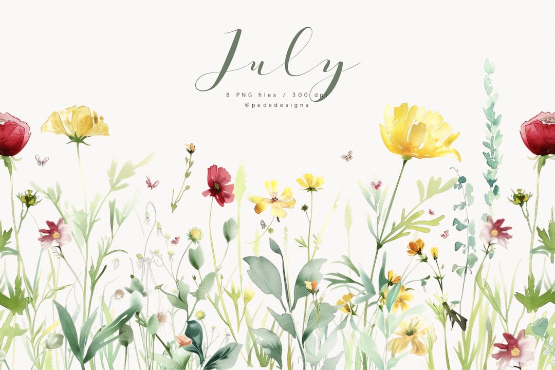July, Summer Wildflowers, Watercolor Wild Floral Border, Watercolor ...