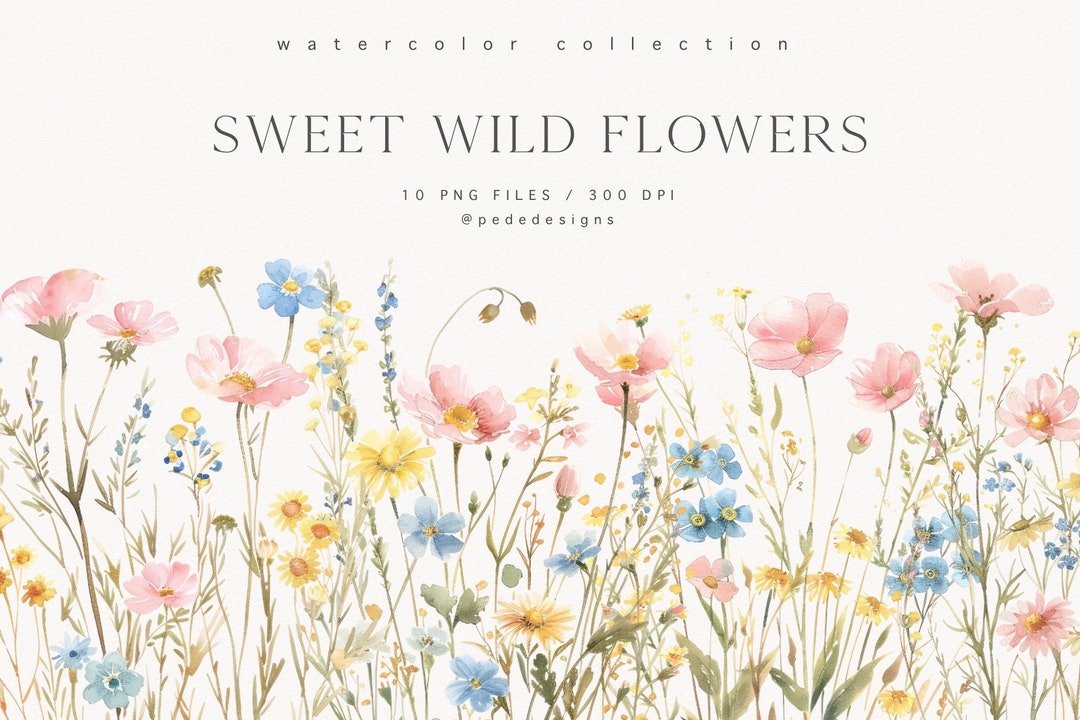 Sweet Wild Flowers, Watercolor Meadow Clipart, Watercolor Meadow Border ...