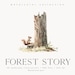 Watercolor Landscape Illustrations - Forest Story Collection, Woodland ...