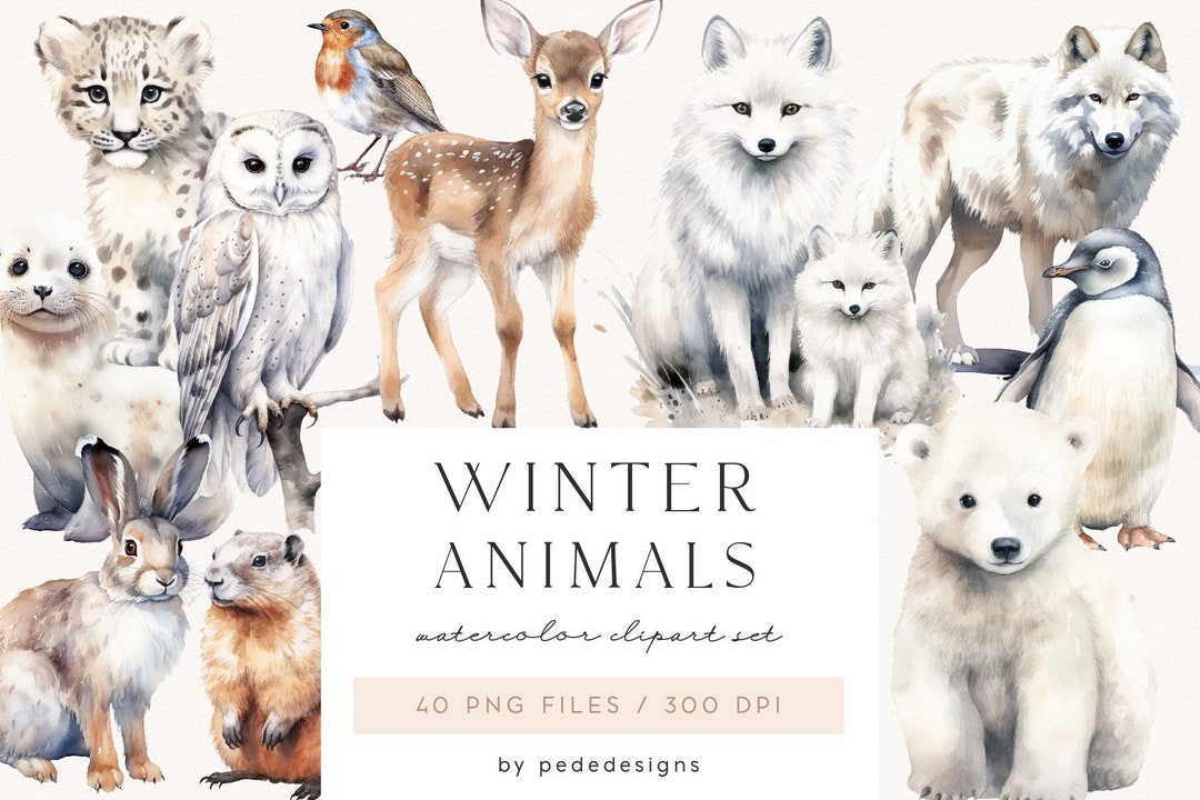 Watercolor Winter Animals Clipart, Arctic Animals, Woodland Animals ...