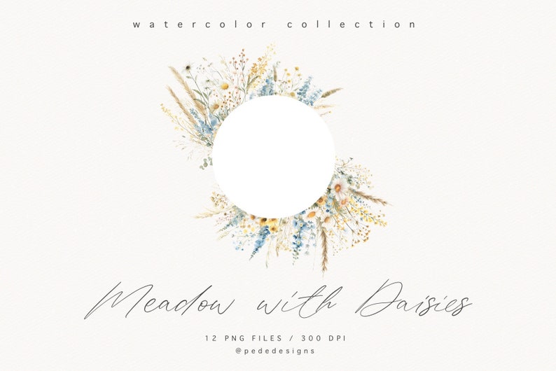 Watercolor Daisy Clipart: Meadow Flower Frame, Border (digital Download ...