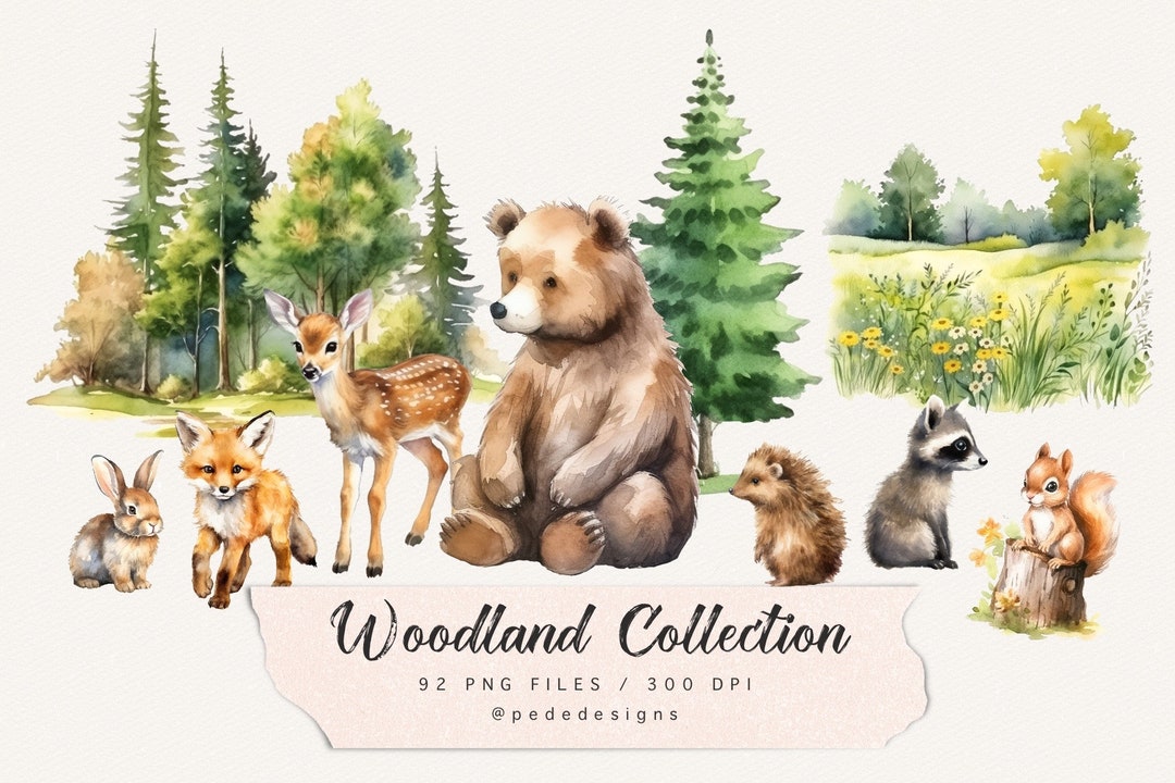 Watercolor Woodland Clip Art, Woodland Animals, Forest Animals, Nursery ...