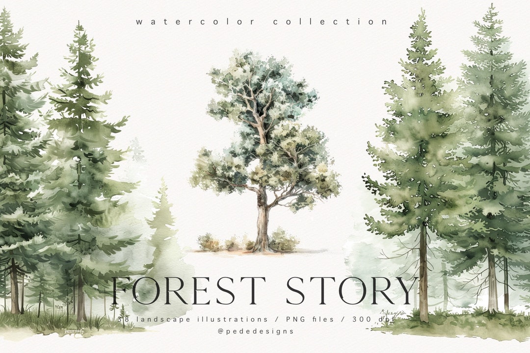 Watercolor Landscape Illustrations - Forest Story Collection, Woodland ...