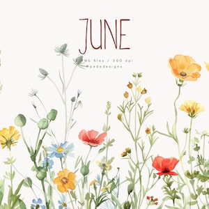 June, Summer Wildflowers, Watercolor Wild Floral Border, Watercolor ...
