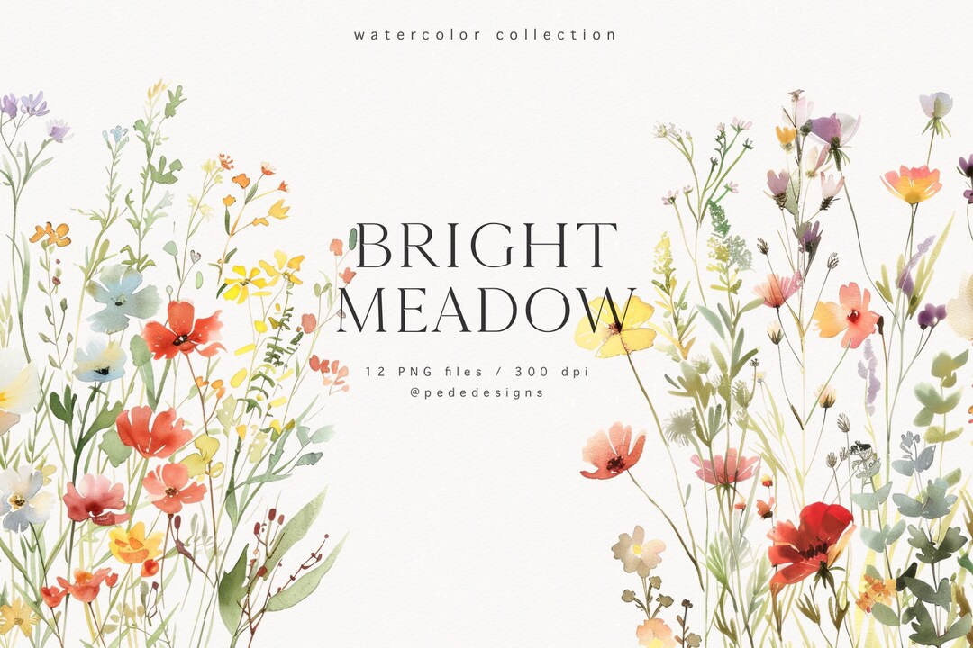 Bright Meadow, Watercolor Meadow Clipart, Watercolor Wild Floral ...