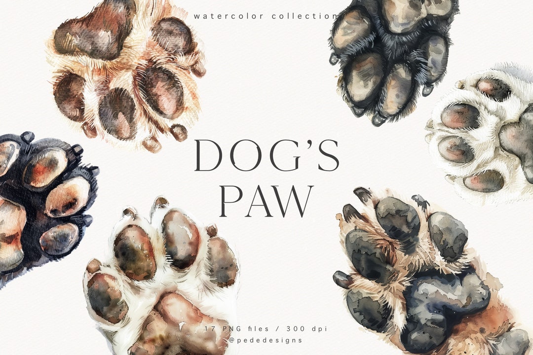 Dog's Paw Illustration, Watercolor Puppy Clipart, Dogs Paw Graphics ...