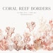 Coral Reef Borders, Watercolor Sea Clipart, Ocean Png Graphics ...