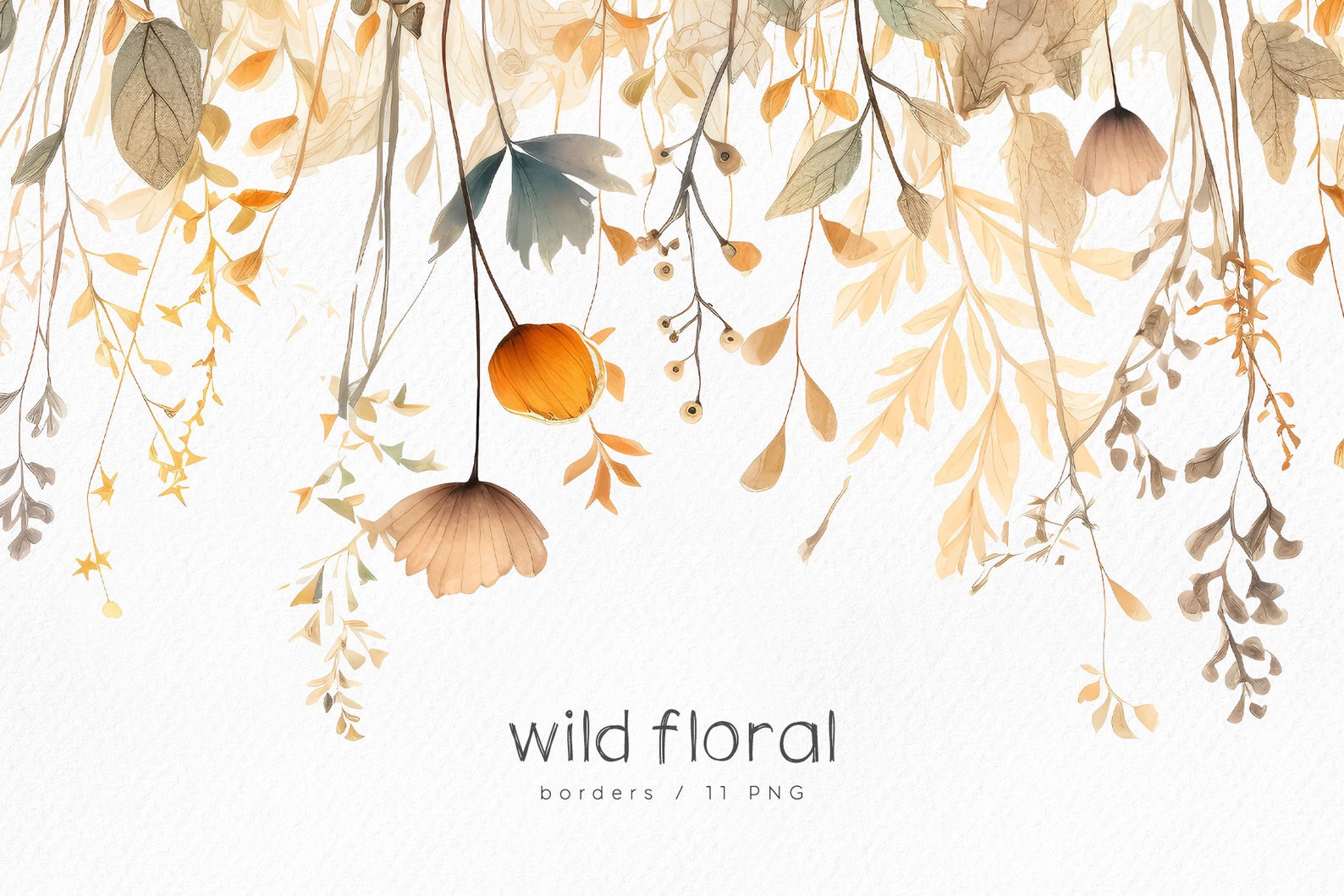 Watercolor Floral Borders Clipart, Watercolor Wild Flowers, Floral ...
