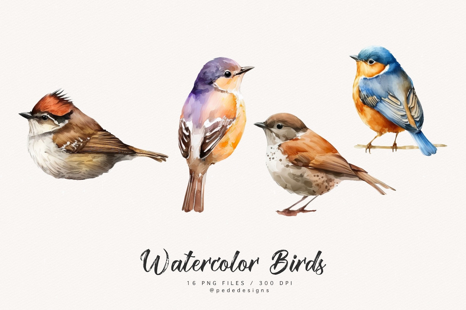 Watercolor Birds Clip Art, Tiny Colorful Birds Clipart, Bird Png ...