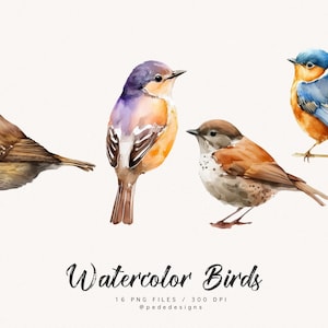 Watercolor Birds Clip Art, Tiny Colorful Birds Clipart, Bird Png ...