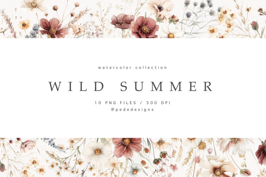 Wild Summer, Watercolor Wild Flowers Clipart, Watercolor Floral Border ...