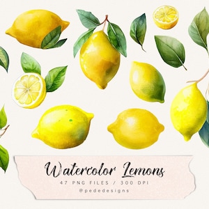 Watercolor Lemon Clip Art, Citrus Clipart, Lemons Illustration, Summer ...
