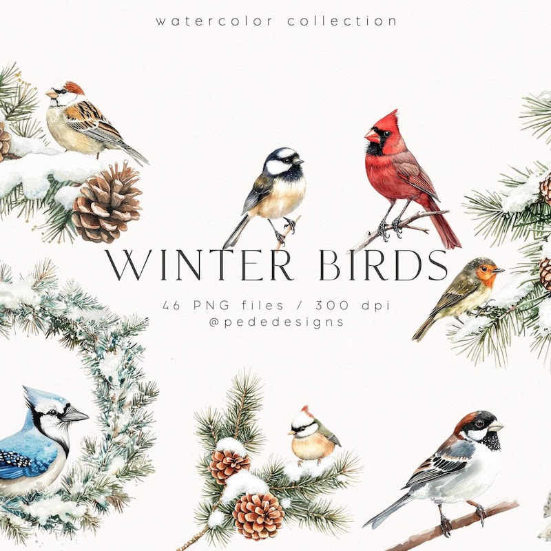 Framed Bird Watercolors - Etsy UK