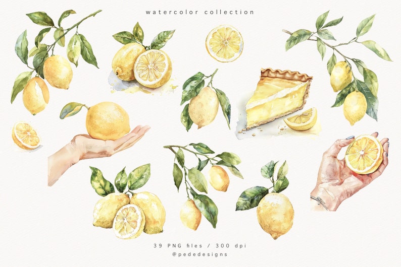 Lemons Clipart, Watercolor Food Clipart, Fruit Clipart, Vege, Juice ...