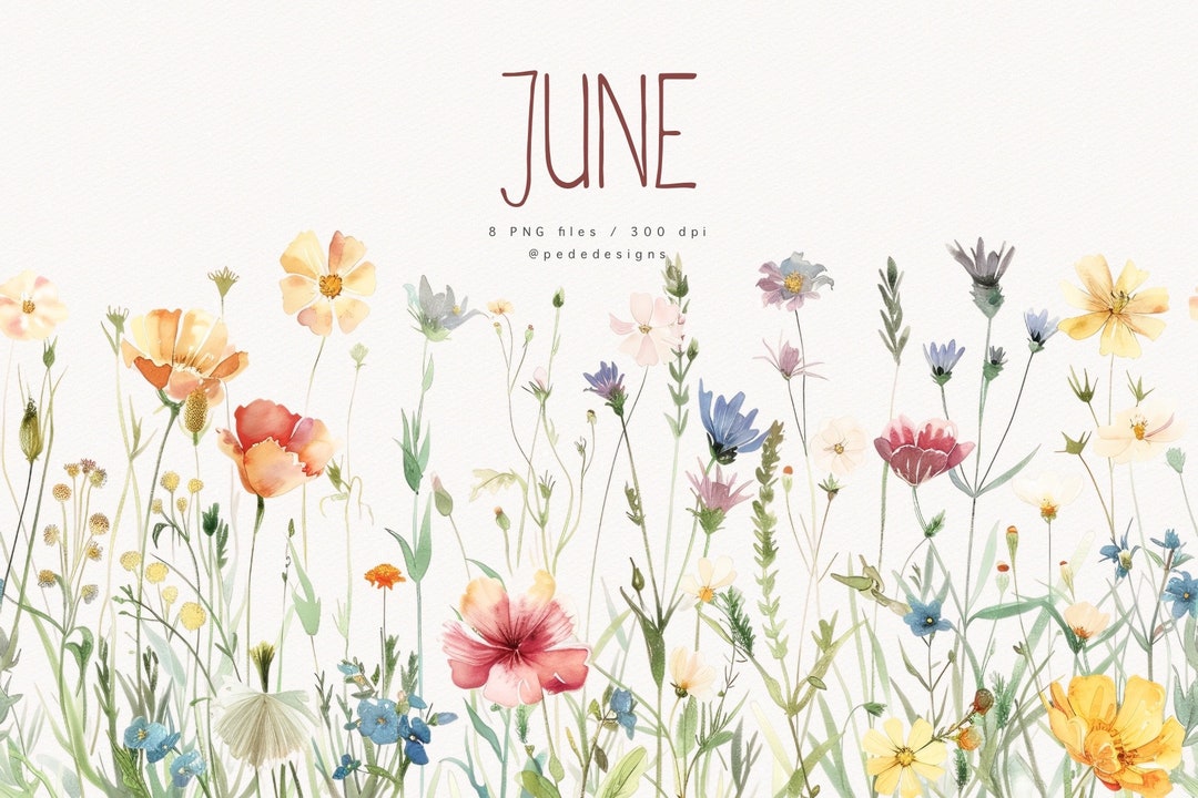 June, Summer Wildflowers, Watercolor Wild Floral Border, Watercolor ...