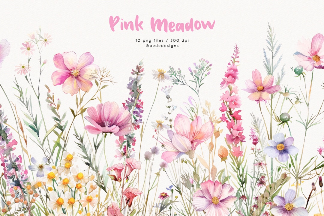 Pink Meadow, Watercolor Meadow Clipart, Watercolor Wild Floral, Floral ...