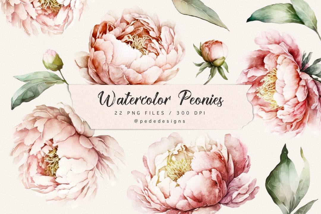 Watercolor Peonies Clip Art Pack, Floral Clipart, Watercolor Bright ...