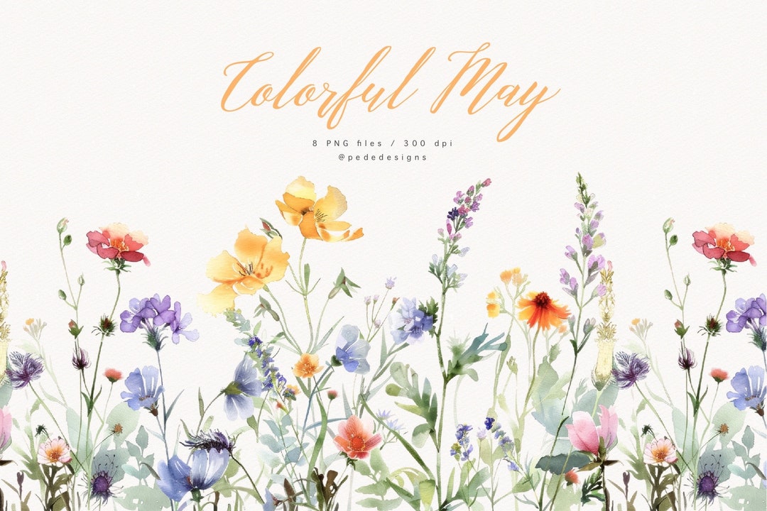 Colorful May, Spring Flowers, Watercolor Wild Floral Clipart ...
