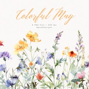Colorful May, Spring Flowers, Watercolor Wild Floral Clipart ...