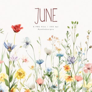 June, Summer Wildflowers, Watercolor Wild Floral Border, Watercolor ...