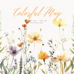 Colorful May, Spring Flowers, Watercolor Wild Floral Clipart ...