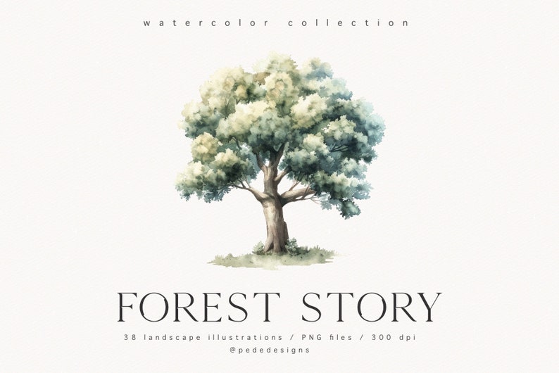 Watercolor Landscape Illustrations - Forest Story Collection, Woodland ...