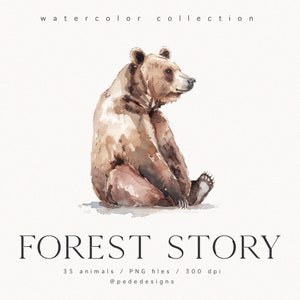 Watercolor Forest Animals - Forest Story Collection, Woodland Graphics ...