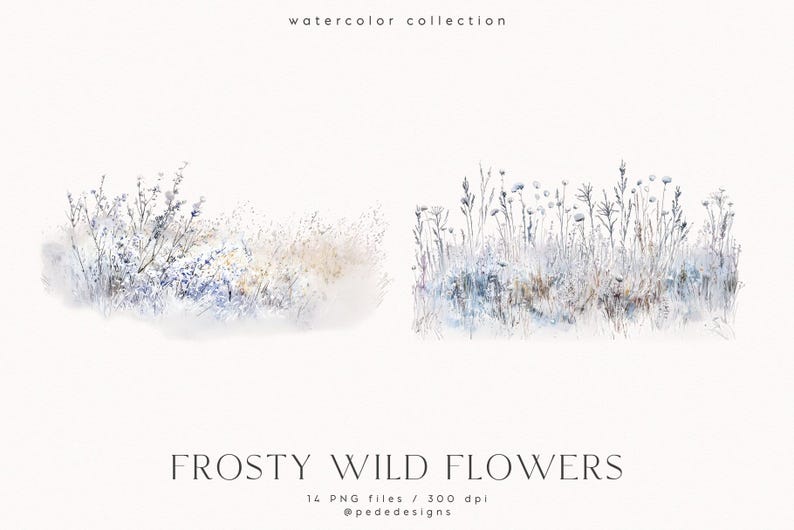 Frosty Wild Flowers, Watercolor Winter Scenery, Landscape Graphics ...