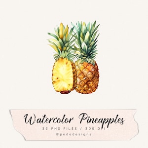 Watercolor Pineapples Clip Art, Tropical Clipart, Pineapple ...