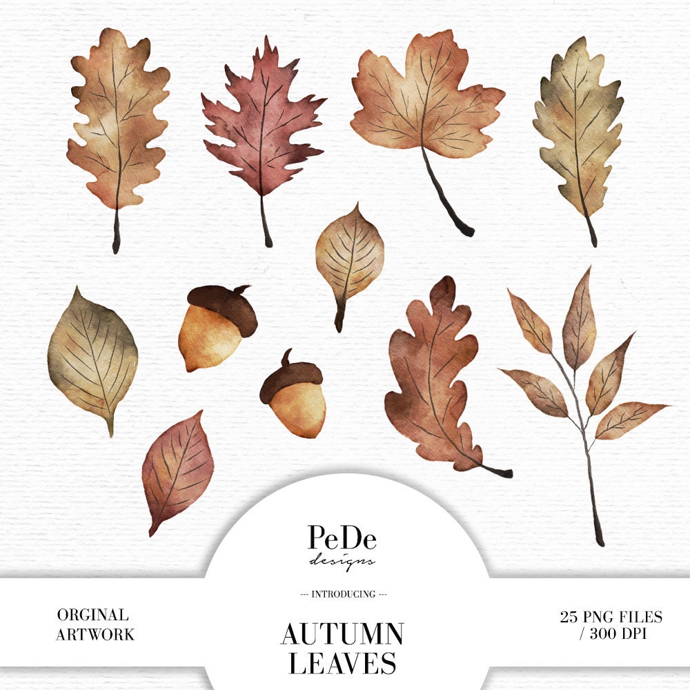 Watercolor Autumn Leaves Clip Art Pack Autumn Cliparts | Etsy