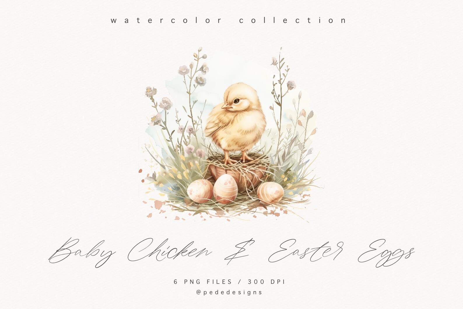 Baby Chicken & Easter Eggs Clipart, Watercolor Chicken, Spring Png ...