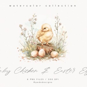 Baby Chicken & Easter Eggs Clipart, Watercolor Chicken, Spring Png ...